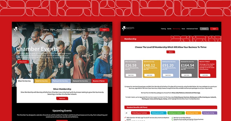 Barnsley & Rotherham Chamber Website Launch | Dark Cherry Creative